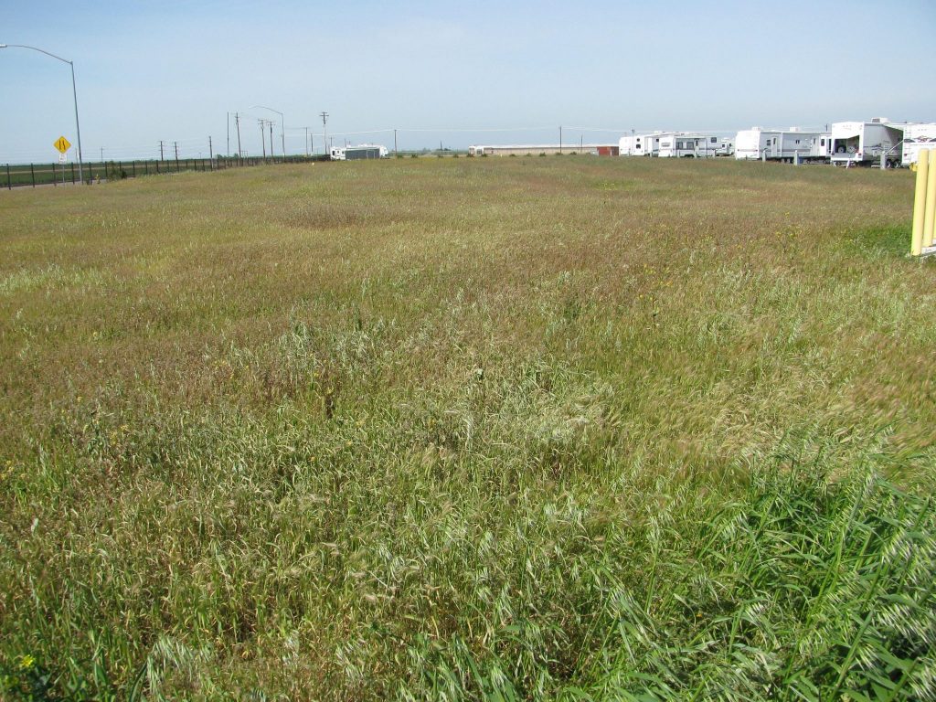 Gallery | RV Resort Patterson CA | Camping near 95363